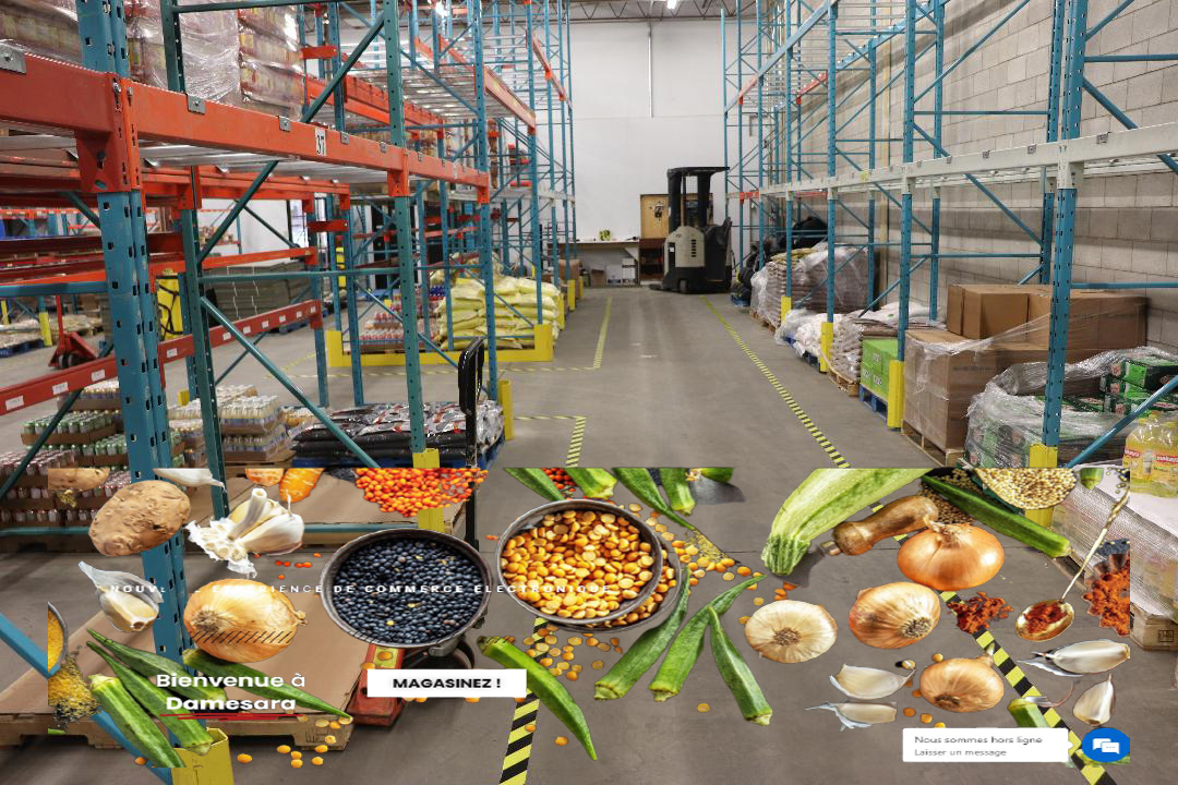 DameSara cherche 2 millions en investissement dans la communauté ...